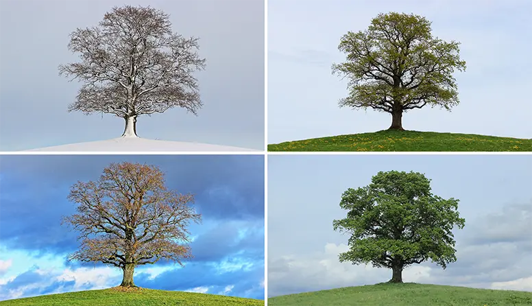 Stunden 33—34. Wiederholung • Повторення