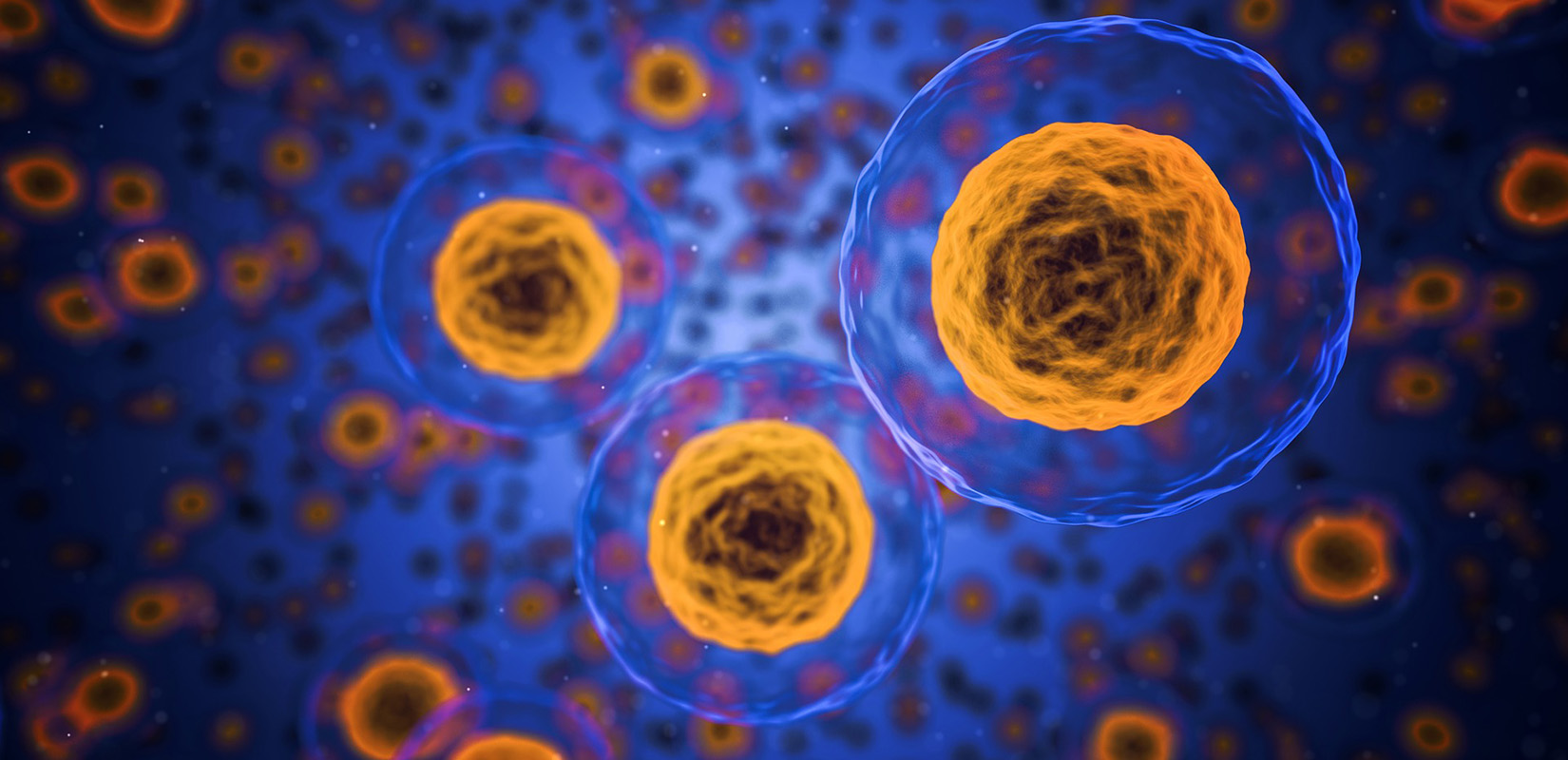 Спостереження експеримент вимірювання моделювання